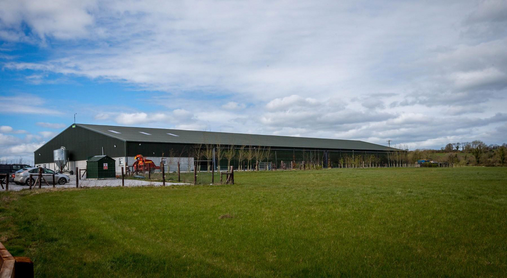 mallow-ai-station - Euronit