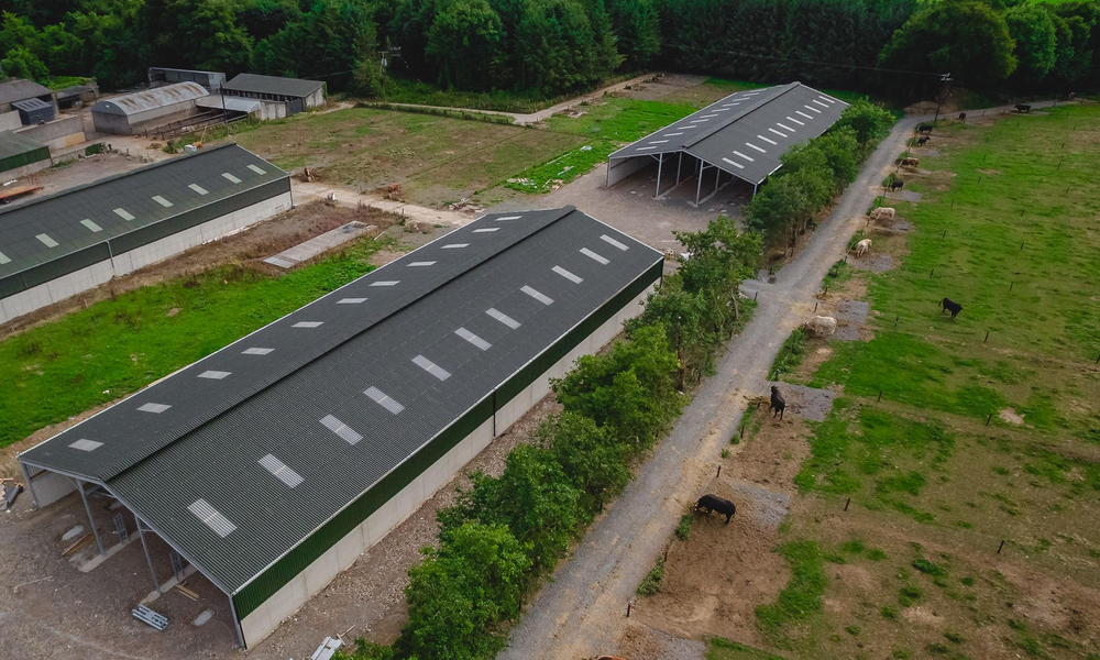 dovea-genetics - Euronit