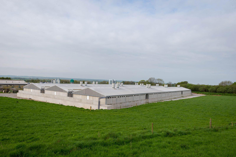 killeagh-piggery - Euronit